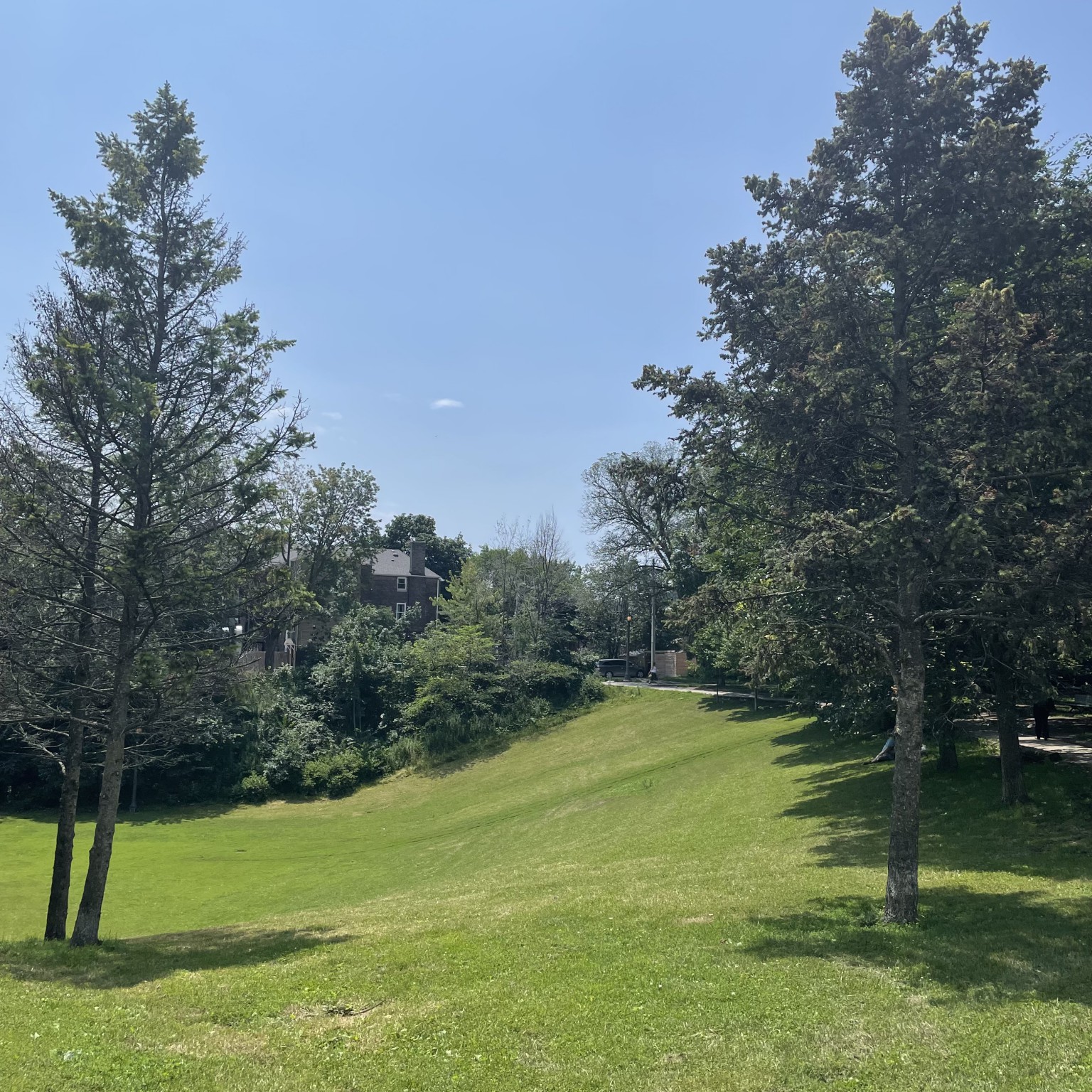 Trinity Bellwoods Park Photo Gallery - Friends of Trinity Bellwoods Park