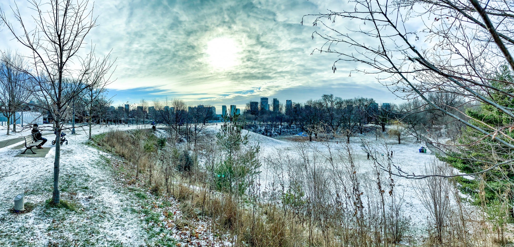 Welcome to the Friends of Trinity Bellwoods Park website - Friends of ...