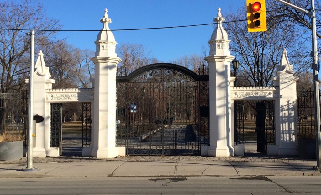 Trinity Bellwoods Park Photo Gallery - Friends of Trinity Bellwoods Park